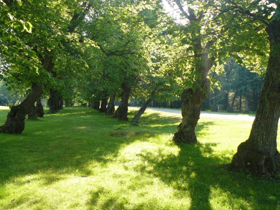 Vanha Vaasa | Vaasa