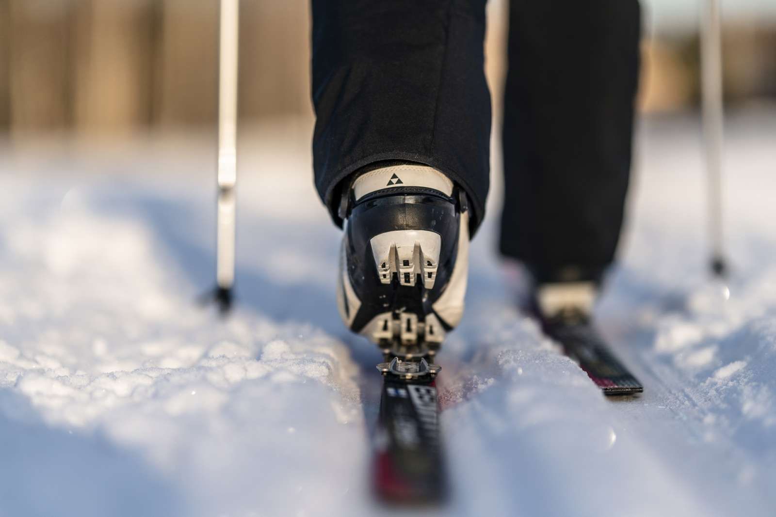 Winter Activities | Vaasa