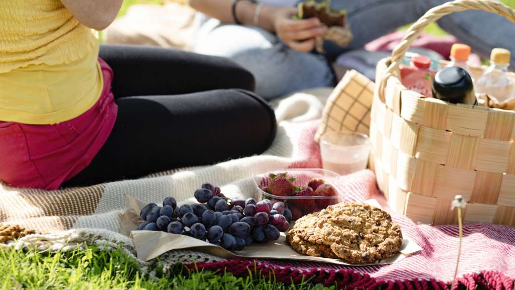 The best parks for a picnic in Vaasa | Vaasa