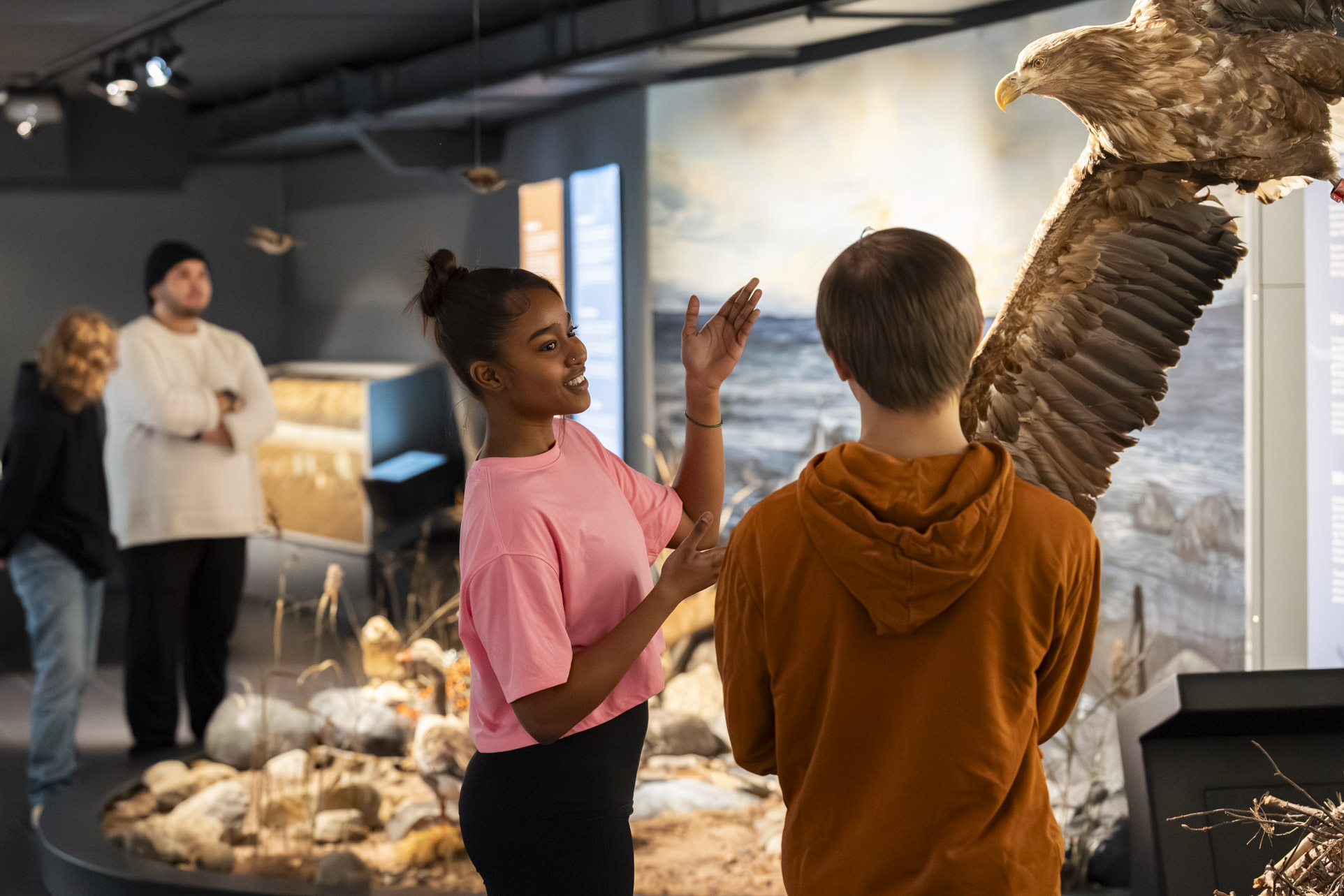 Pohjanmaan museo | Vaasa
