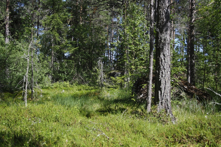 Gerby | Vaasa