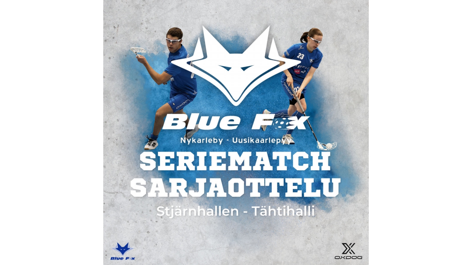 Blue Fox - FB Factor | Vaasa