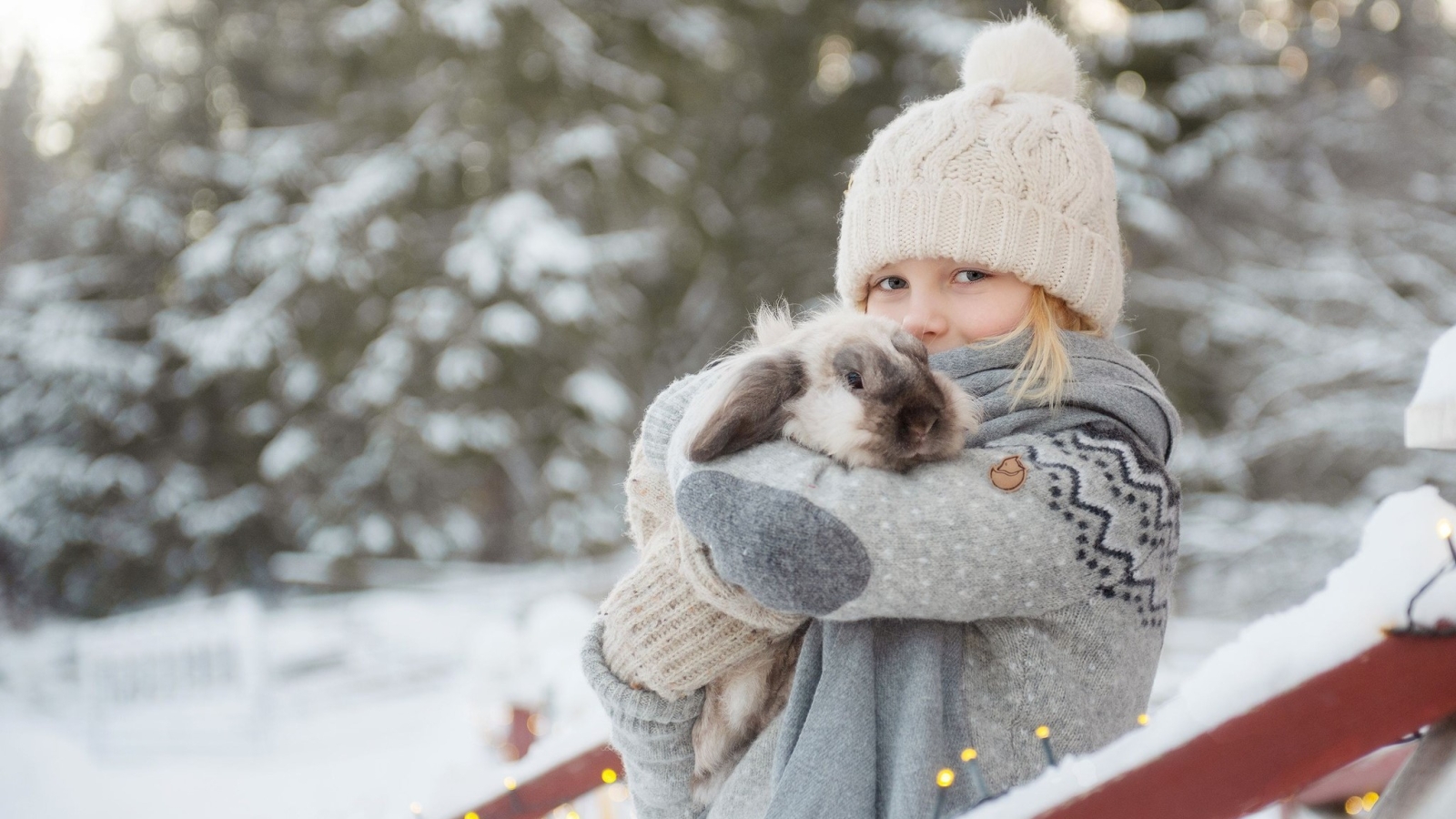 Winter Activities | Vaasa