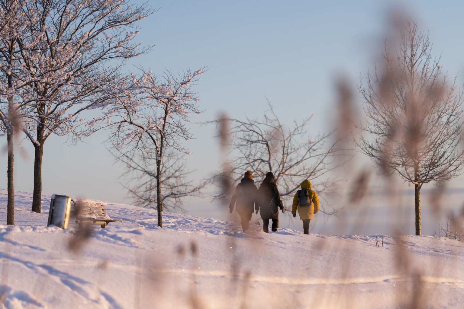 Talviloma Vaasan museoissa | Vaasa