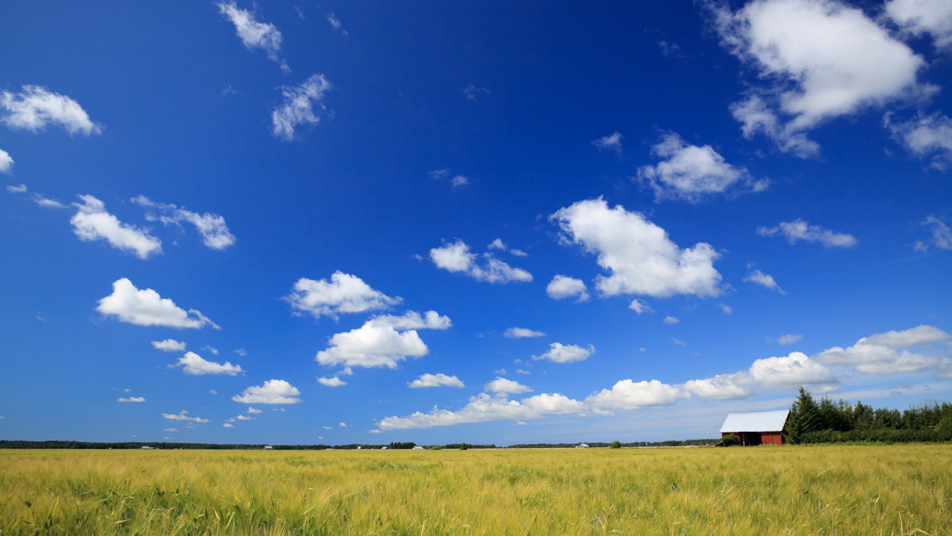 Experience the Vaasa Region - Visit Vaasa | Vaasa