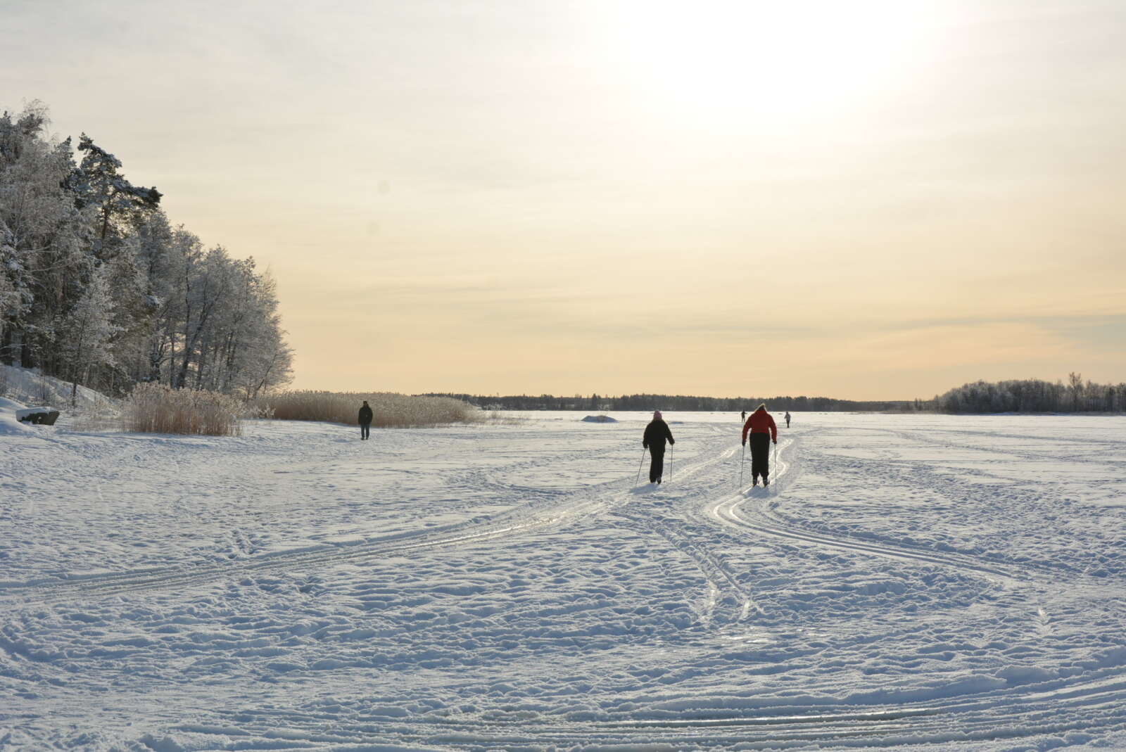 Winter Activities | Vaasa
