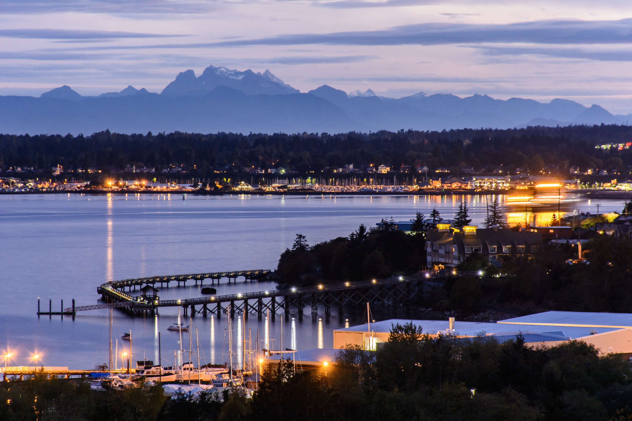 Bellingham | Vaasa