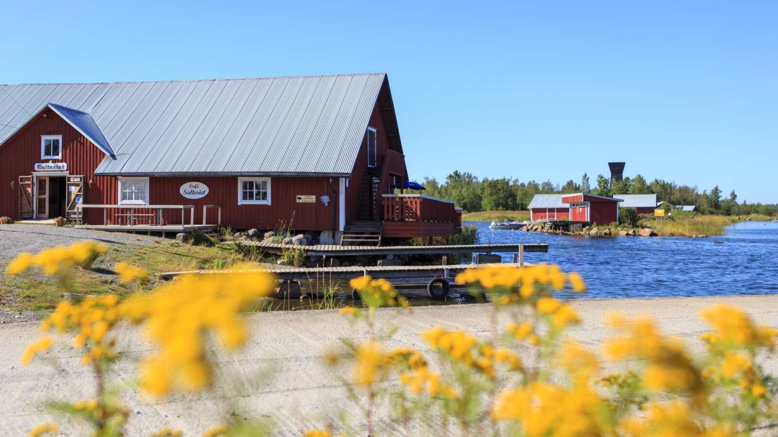 Visit Vaasa’s Summer Bus 2024 | Vaasa