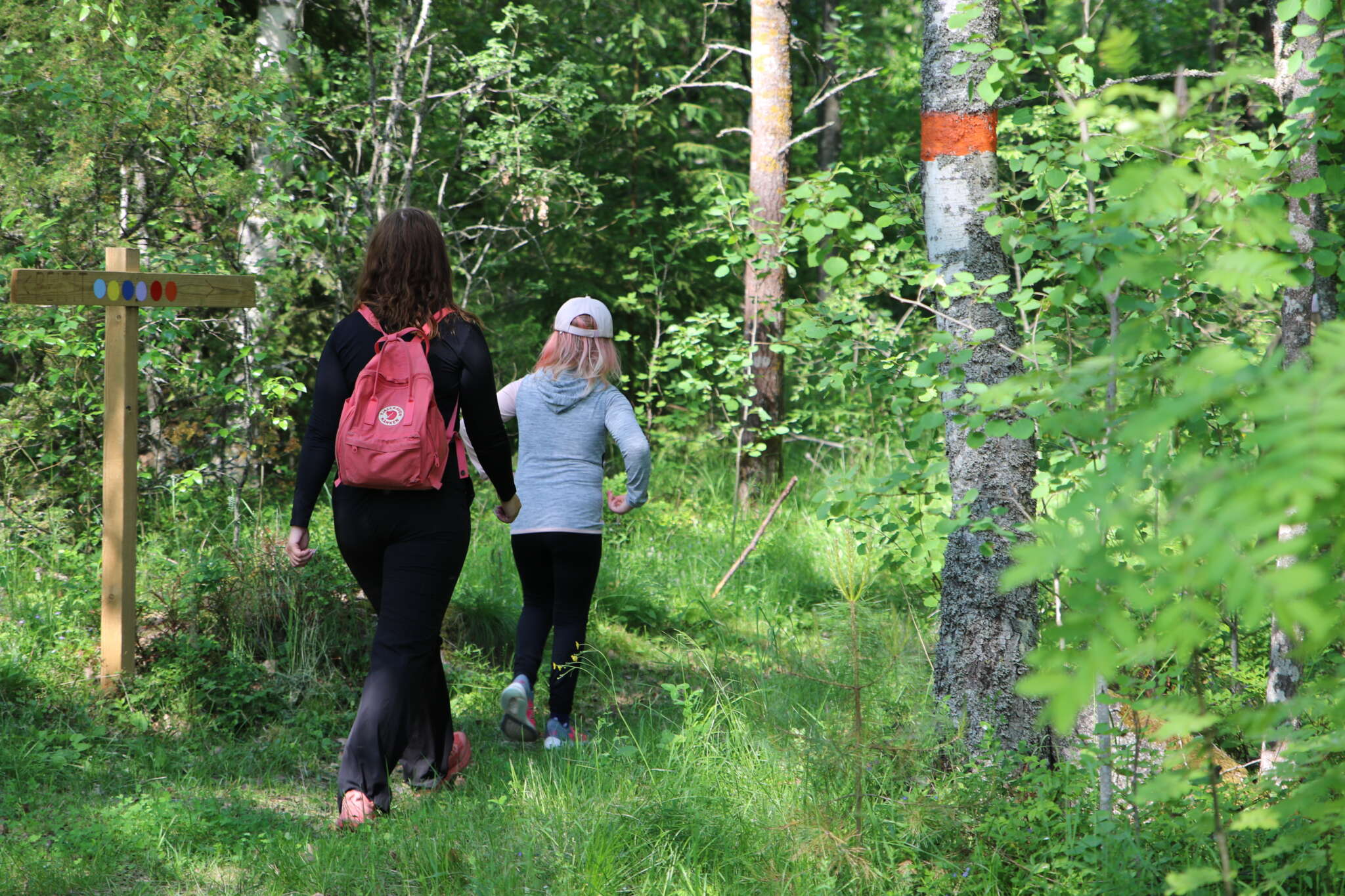 A new hiking trail for children in Vähäkyrö is a fun activity for the ...