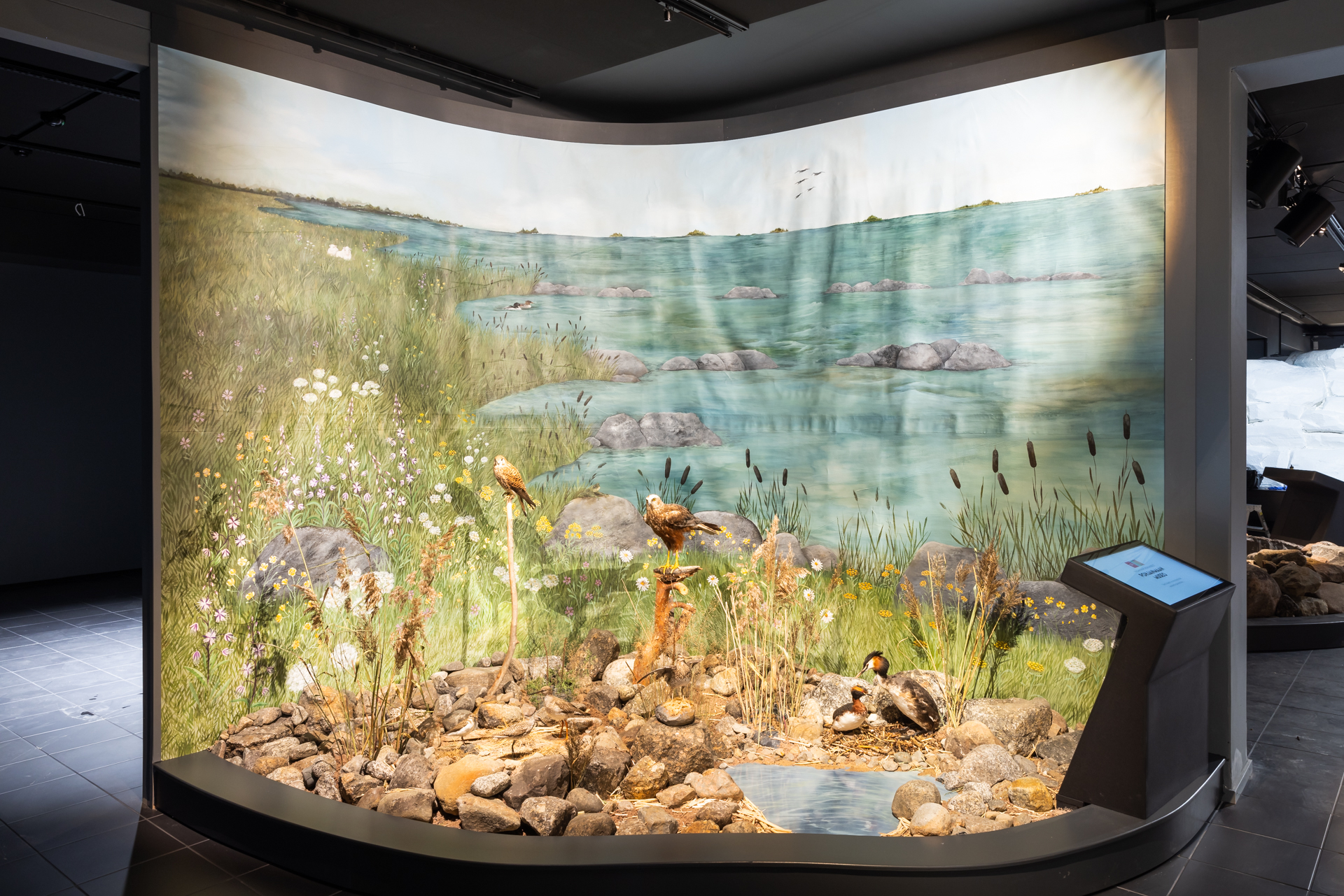 Terranova – Natural Science Exhibition | Vaasa