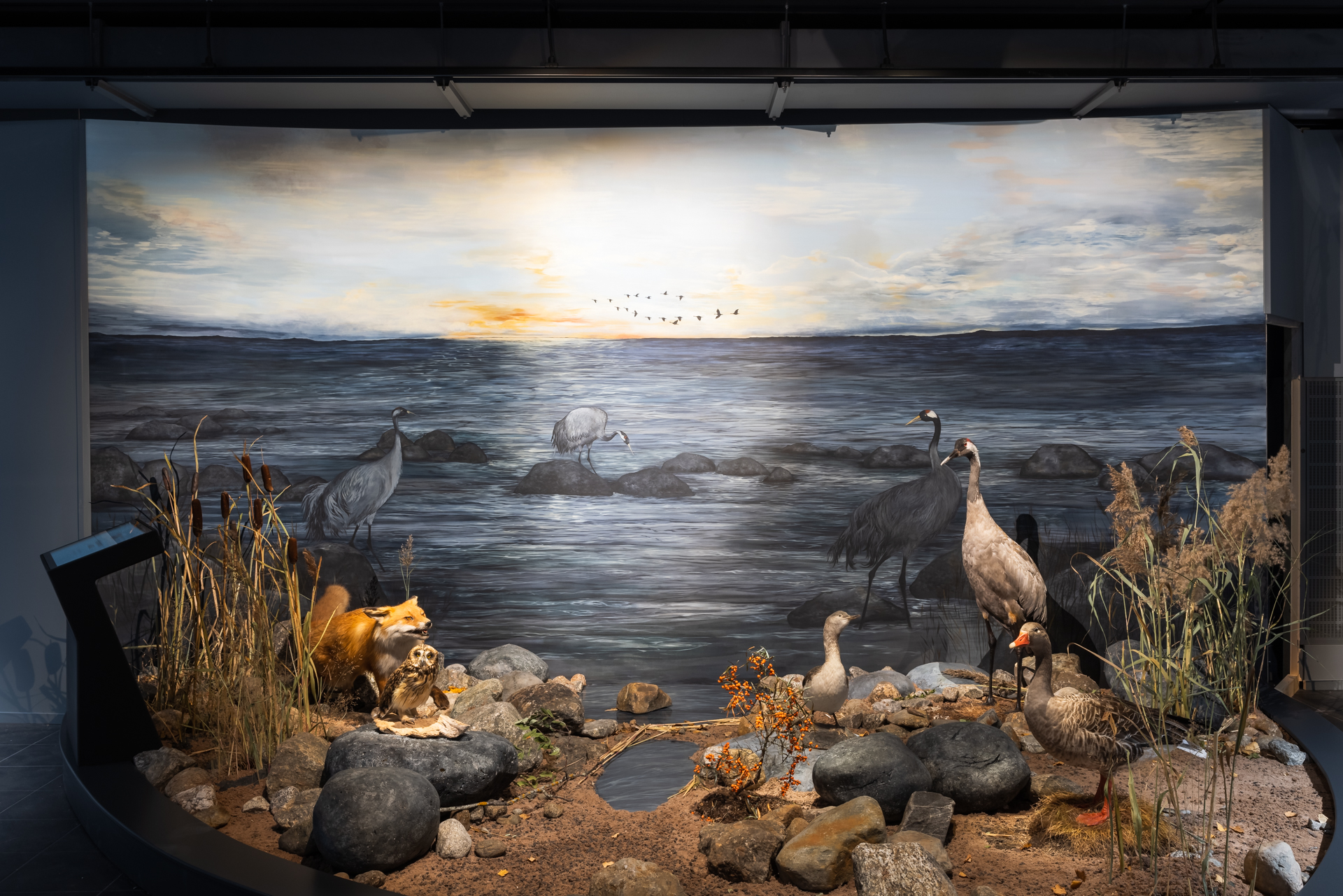 Terranova – Natural Science Exhibition | Vaasa