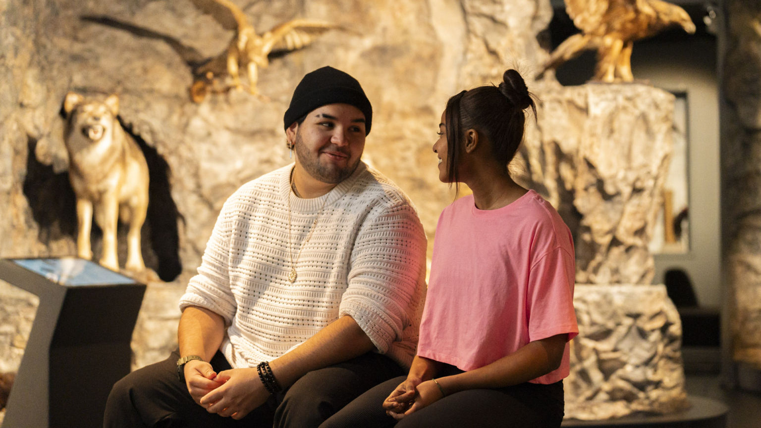 Pohjanmaan museo | Vaasa