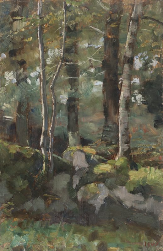 Tikanojas konsthems samling | Vaasa